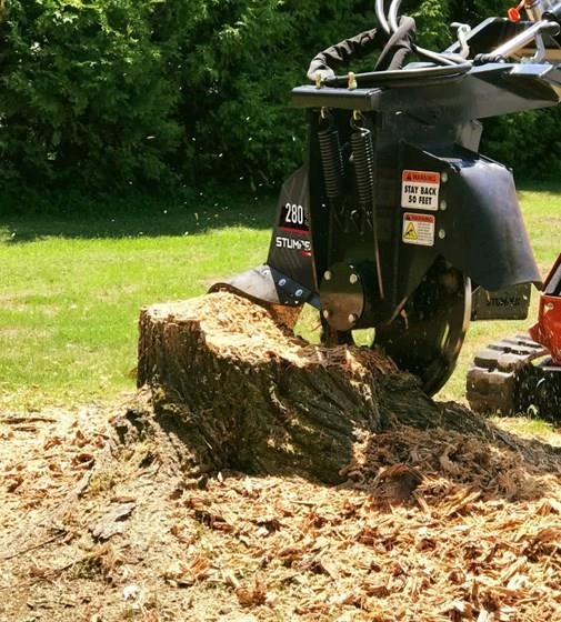 Fecon Stumper - Stump Grinder | Kirby-Smith Machinery